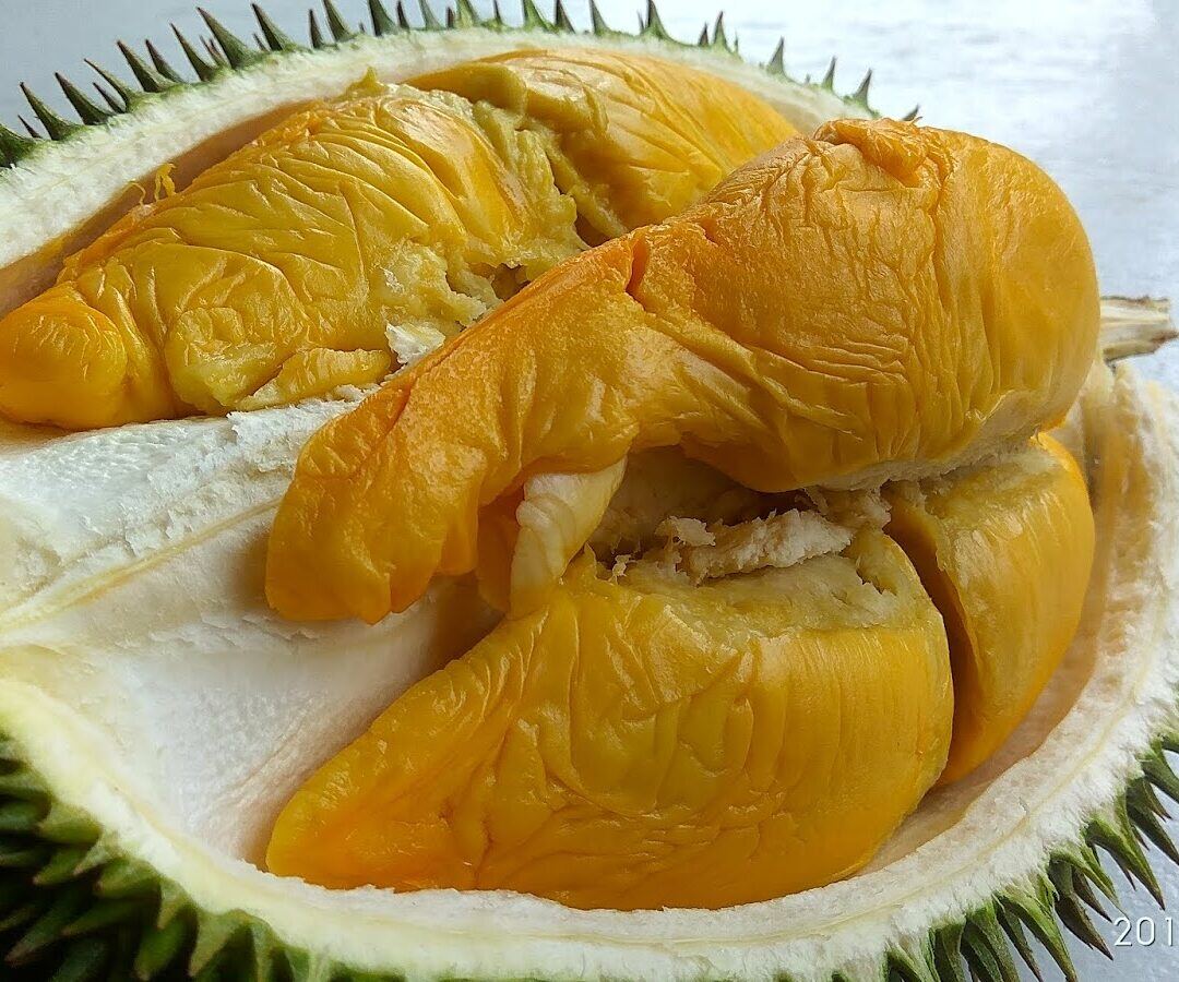 10 Durian Types You Can Get For Different Budgets