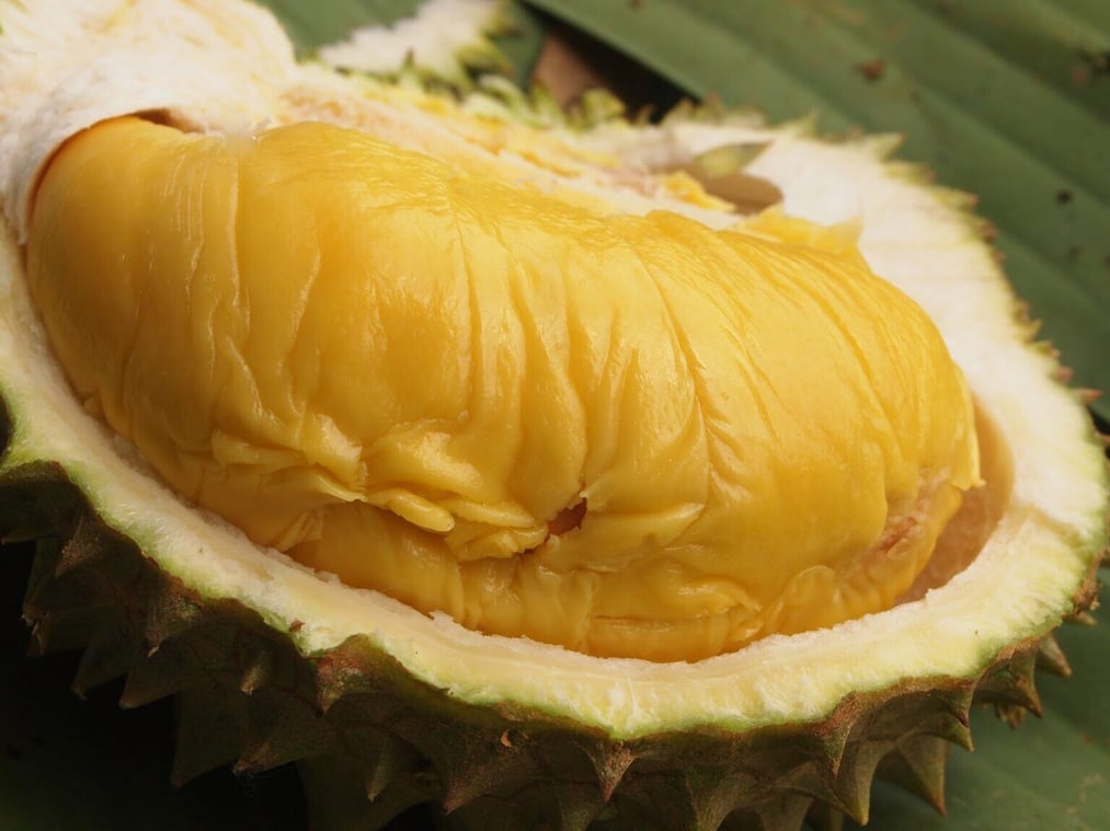 10 Durian Types You Can Get For Different Budgets